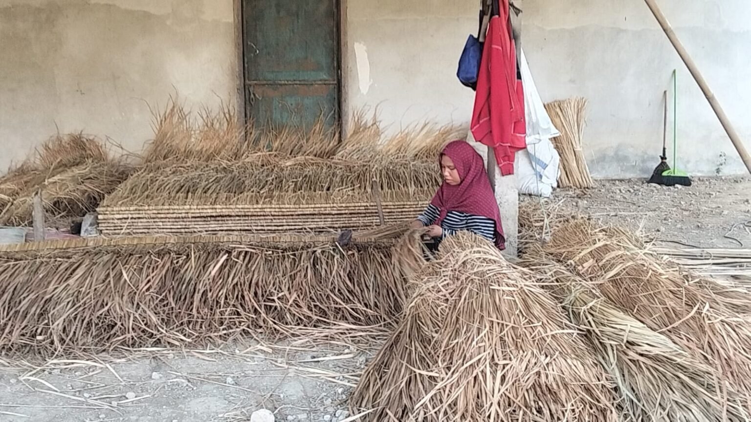 Serap Ratusan Pekerja, Kerajinan Atap Ilalang Desa Cendimanik Sekotong ...
