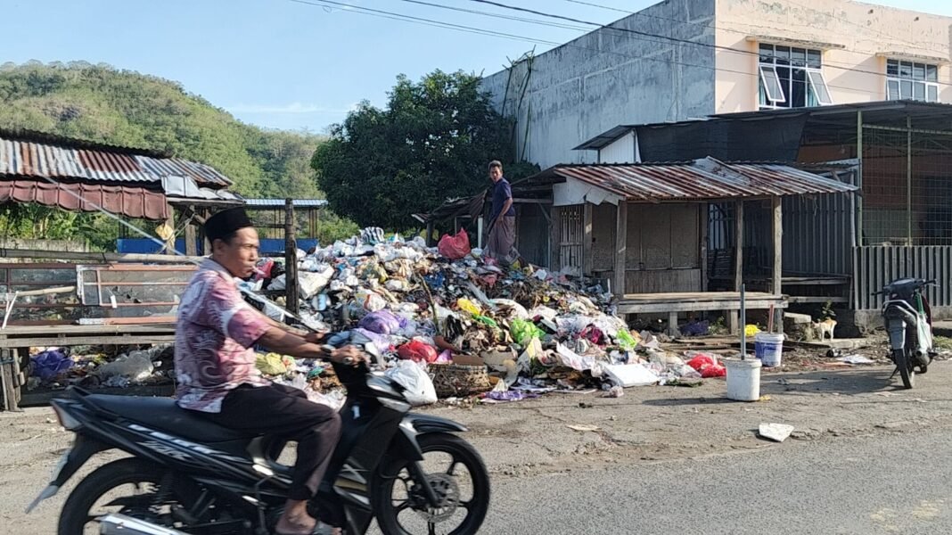 Warga Reyan Meninggal Dunia Diduga Tabrak Anjing yang Mengerumuni ...